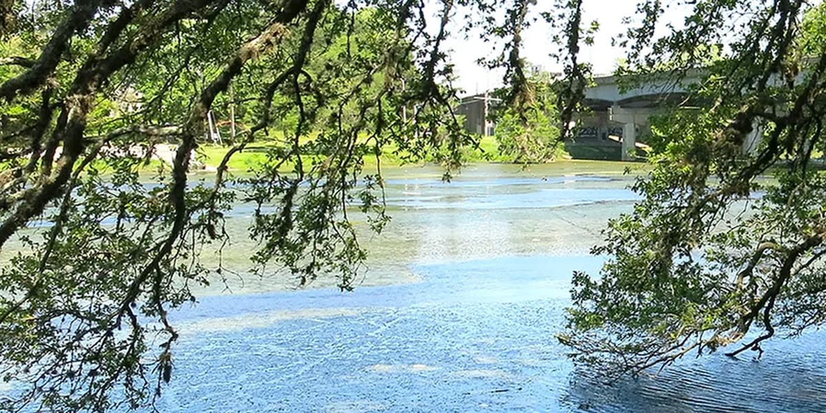 Transforming University Lakes: Major Progress and Future Plans After ...